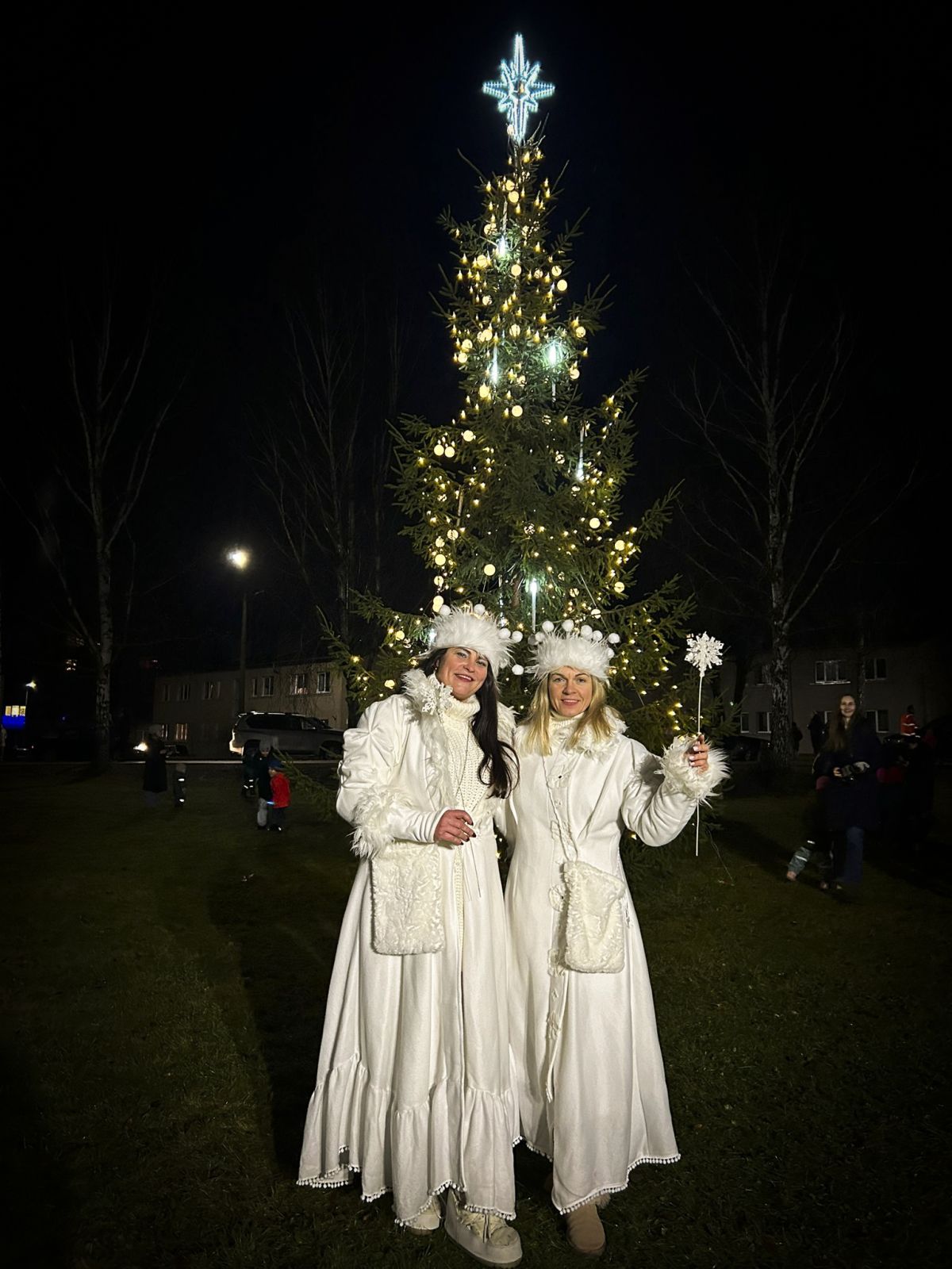 Ziemassvētku egles iedegšana Liepā 03.12.2025. - priekuli.lv